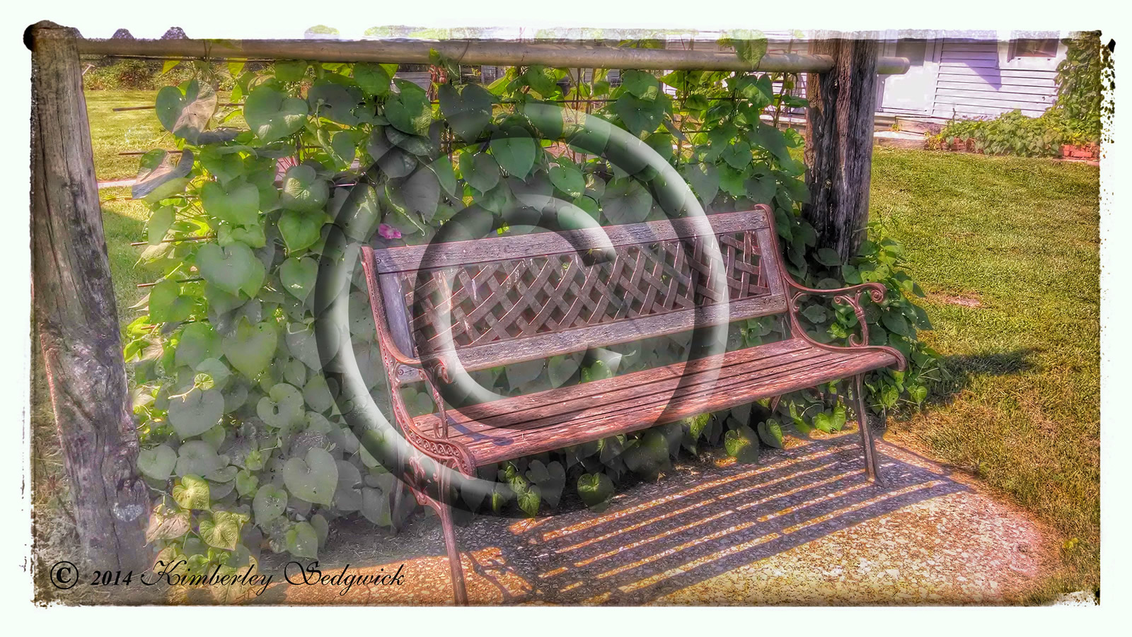 “A Welcoming Bench at the Ol’ Farm” – Murdock Greeting Cards